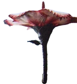 Juran | Ultraman Wiki | Fandom