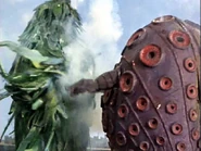 Takkong | Ultraman Wiki | Fandom