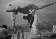 Gavadon | Ultraman Wiki | Fandom