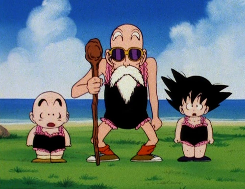 Master Roshi And Maron