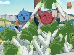 Kado | Ultra Dragon Ball Wiki | Fandom
