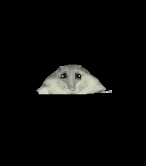 Florp | ULTRAKILL Wiki | Fandom