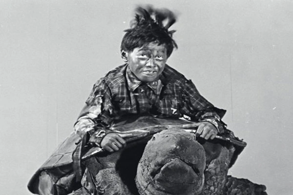 Grow Up! Little Turtle | Ultraman Wiki | Fandom