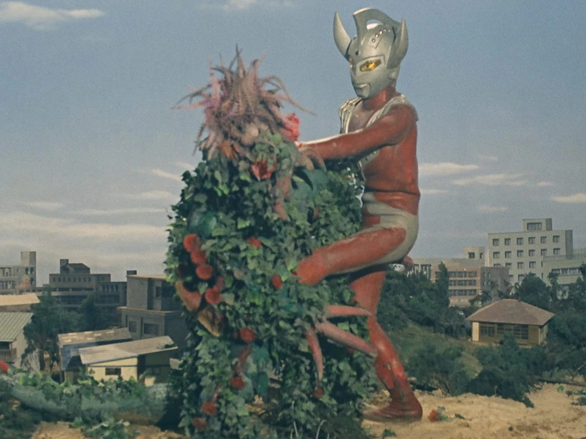 The Vampire Flower is a Girl's Spirit | Ultraman Wiki | Fandom