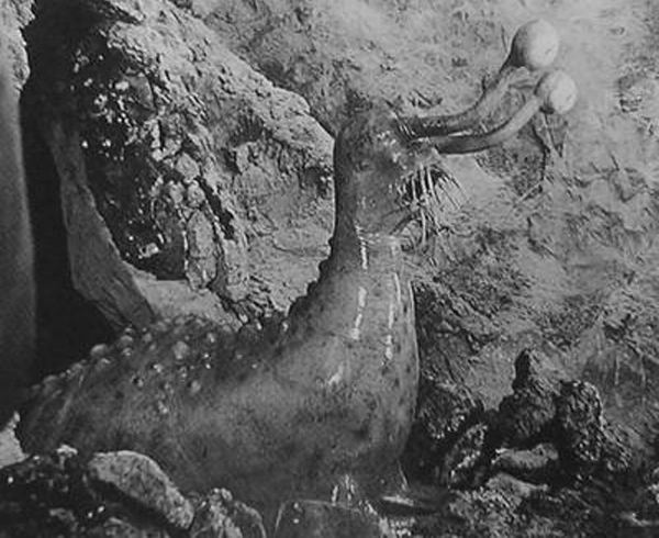 Namegon | Ultraman Wiki | Fandom