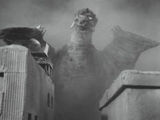 Peguila | TsuburayaWiki | Fandom