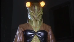 Cicada Human | TsuburayaWiki | Fandom