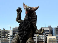 Gomora | TsuburayaWiki | Fandom