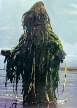 Zazarn | TsuburayaWiki | Fandom