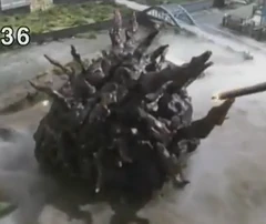 IF | TsuburayaWiki | Fandom