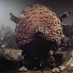 Takkong | TsuburayaWiki | Fandom