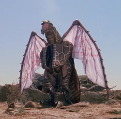 Dorako | TsuburayaWiki | Fandom