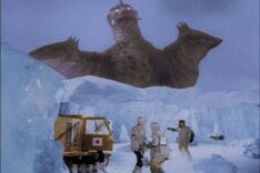 Peguila | TsuburayaWiki | Fandom