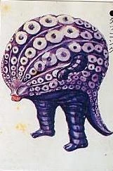 Takkong image gallery | TsuburayaWiki | Fandom