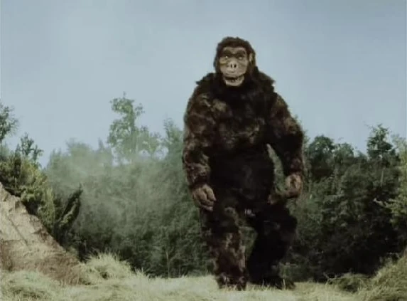 Goro | TsuburayaWiki | Fandom