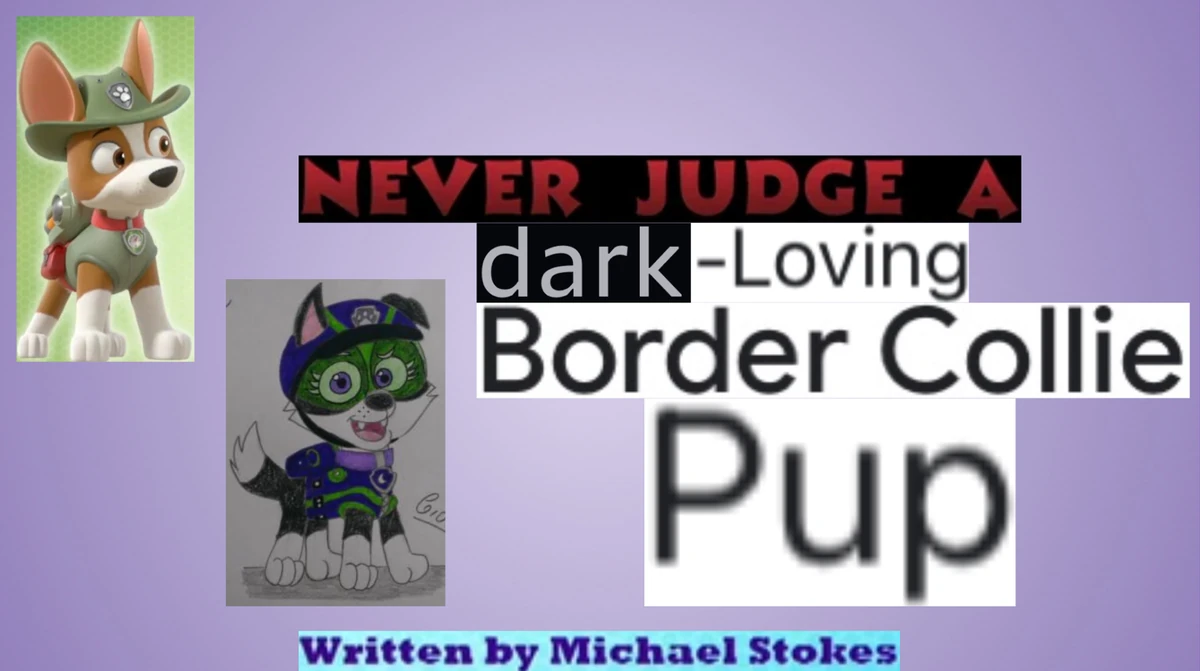 Never Judge A Dark-Loving Border Collie Pup | Ultra-Tracker Crossover ...