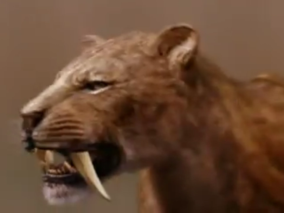 Prehistoric Predators Sabertooth