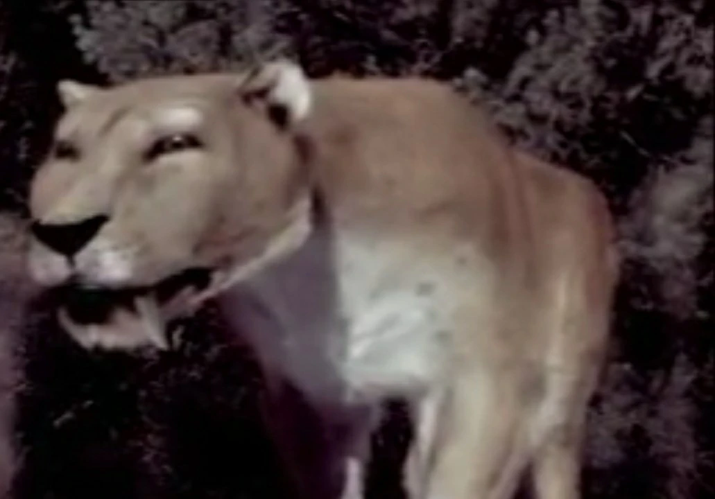 Saber tooth Cat (Ice Age Death Trap) | Ultra Villains Wiki | Fandom