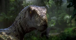 JP3 Female Raptor (Jurassic Park 3) | Ultra Villains Wiki | Fandom