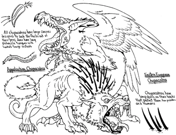 Appalachian Chupacabra Cryptid Wiki Fandom Powered By Wikia