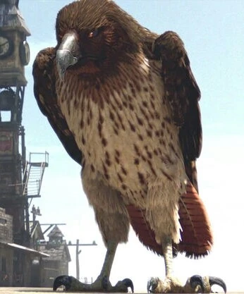 Hawk (Rango) | Ultra Villains Wiki | Fandom