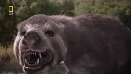 Bear Dog (Prehistoric Predators) | Ultra Villains Wiki | Fandom