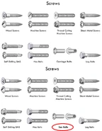 Real-Life Skill Questions | Um, Actually Wiki | Fandom