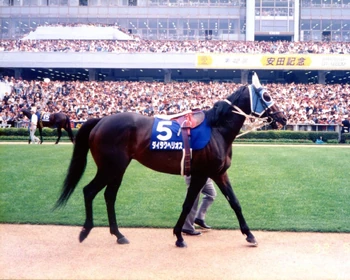 Daitaku Helios | Uma Musume Wiki | Fandom