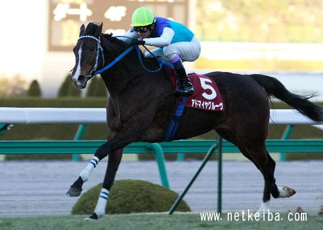 Admire Groove/Real Life | Umamusume Wiki | Fandom