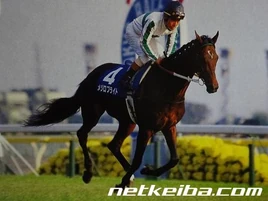 Mejiro Bright/Real Life | Umamusume Wiki | Fandom