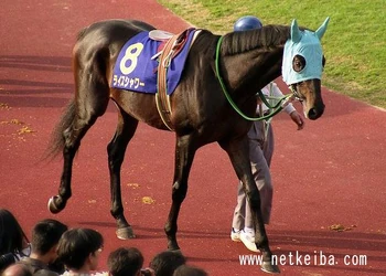 Rice Shower | Uma Musume Wiki | Fandom