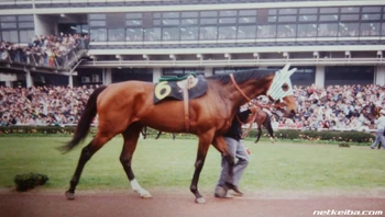 Symboli Rudolf | Uma Musume Wiki | Fandom