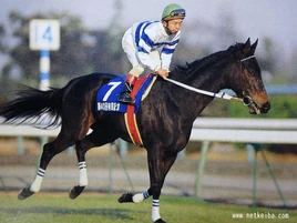 Hishi Amazon | Umamusume Wiki | Fandom