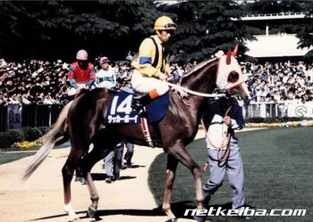 Dicta Striker | Uma Musume Wiki | Fandom