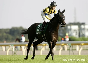 Daring Heart | Uma Musume Wiki | Fandom