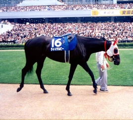 Daiichi Ruby | Umamusume Wiki | Fandom