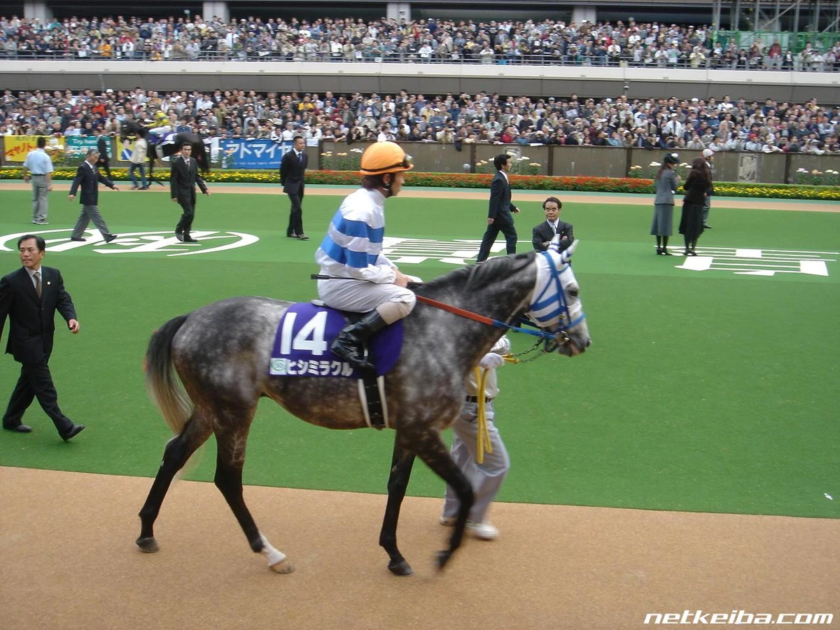 Hishi Miracle/Real Life | Umamusume Wiki | Fandom