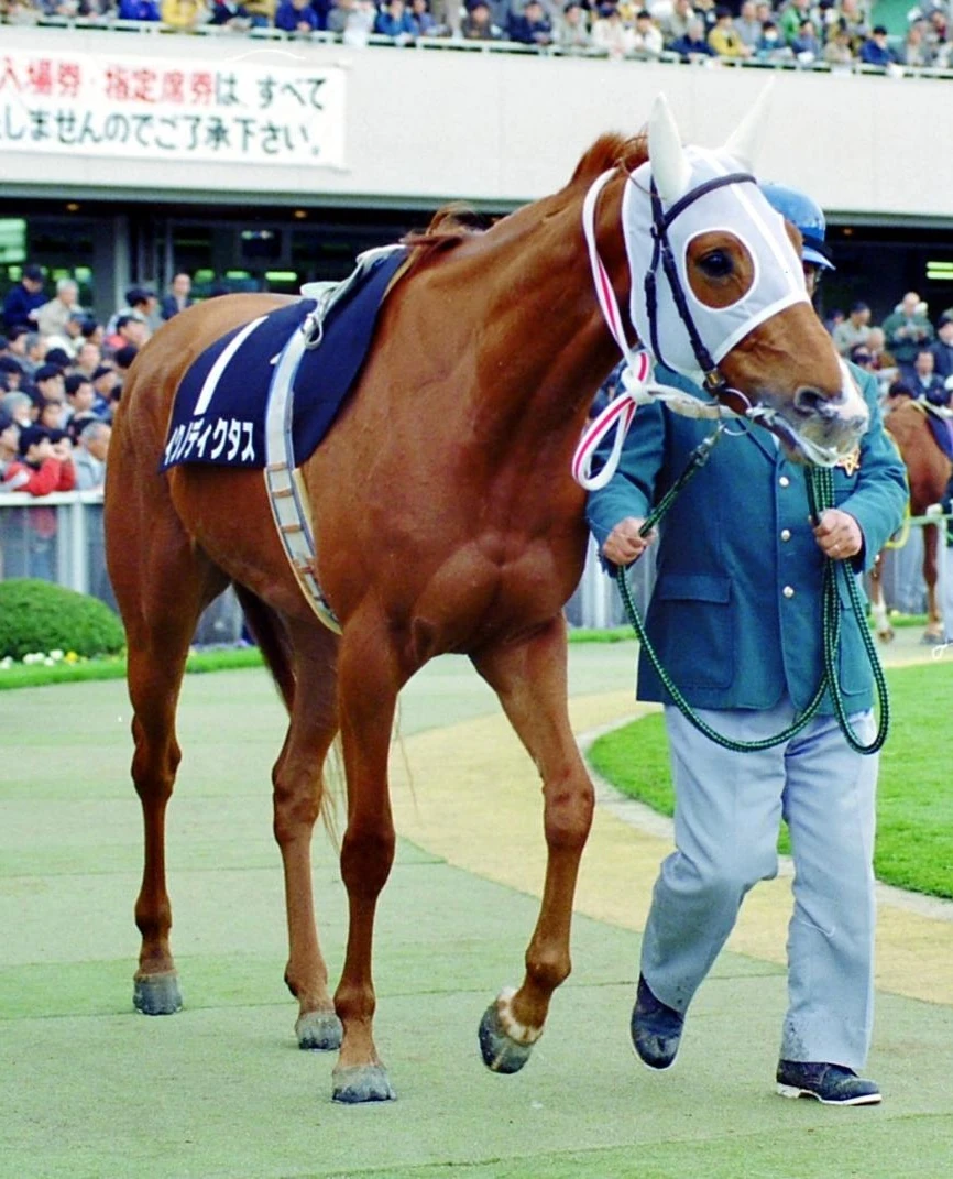 Ikuno Dictus/Real Life | Umamusume Wiki | Fandom