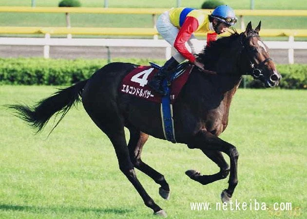 El Condor Pasa/Real Life | Umamusume Wiki | Fandom