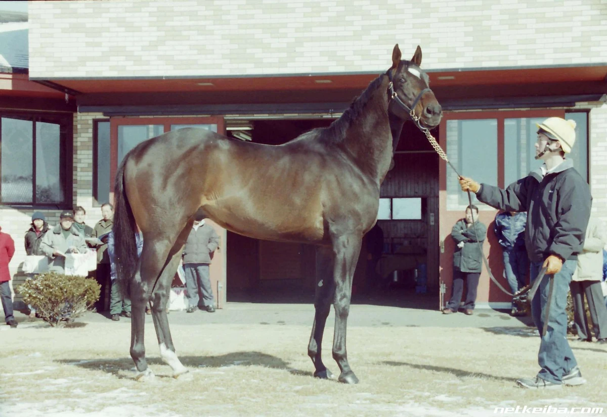 Air Shakur/Real Life | Umamusume Wiki | Fandom