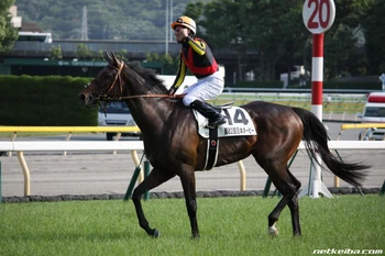 Duramente | Uma Musume Wiki | Fandom