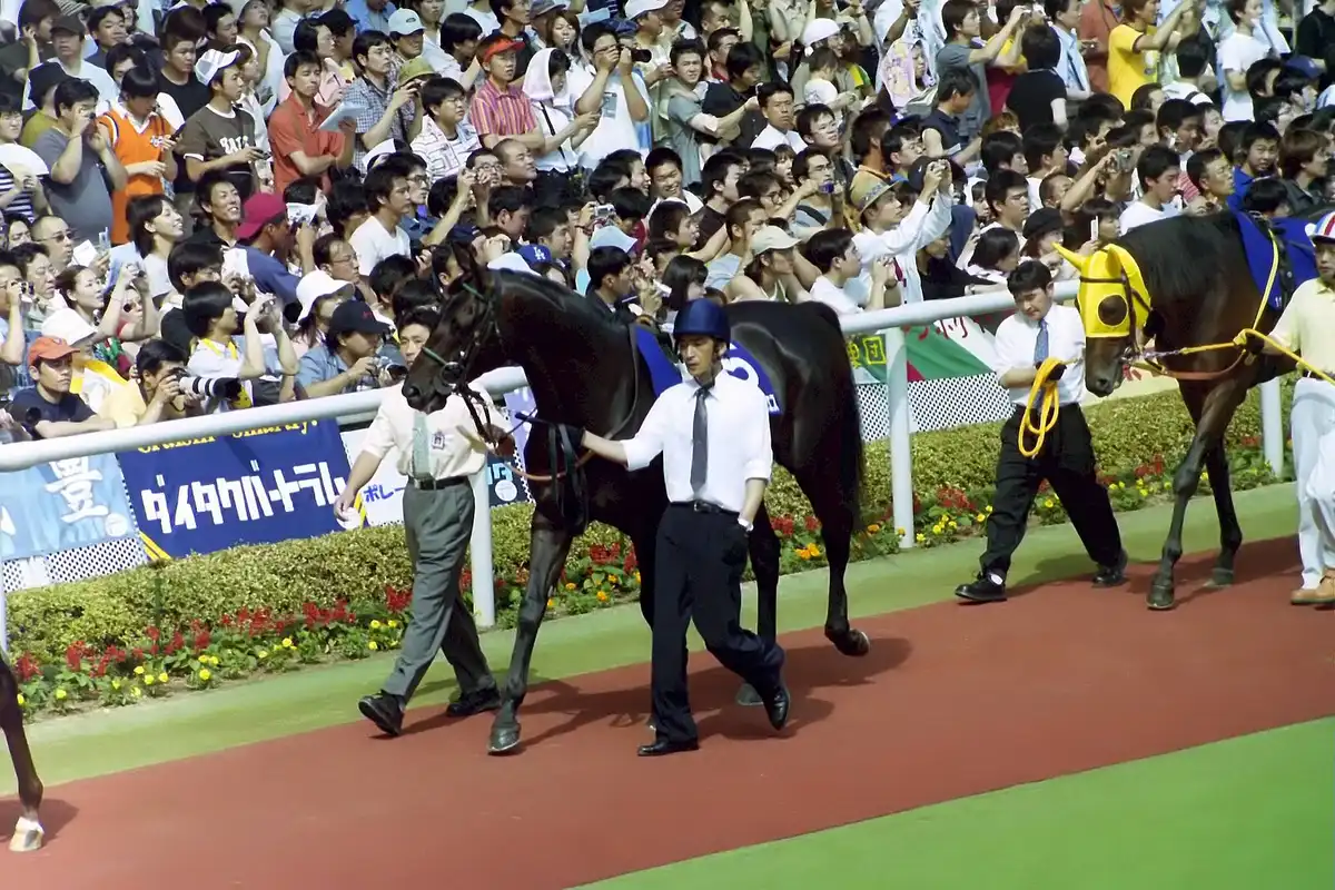 Symboli Kris S/Real Life | Umamusume Wiki | Fandom