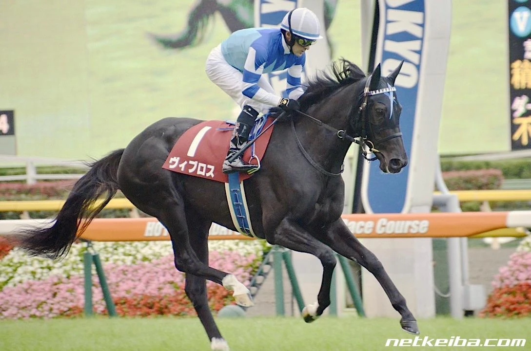 Vivlos/Real Life | Umamusume Wiki | Fandom