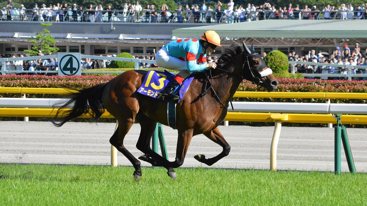 Almond Eye/Real Life | Umamusume Wiki | Fandom