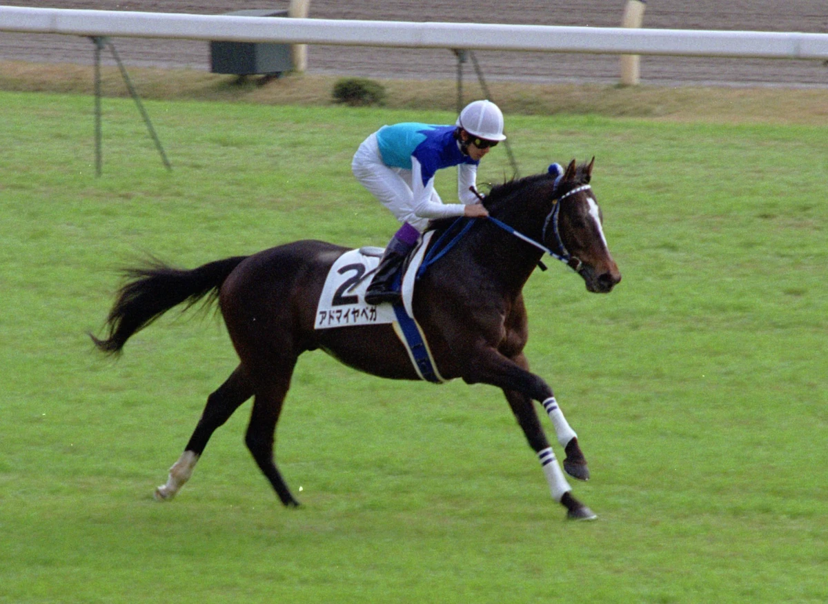 Admire Vega/Real Life | Umamusume Wiki | Fandom