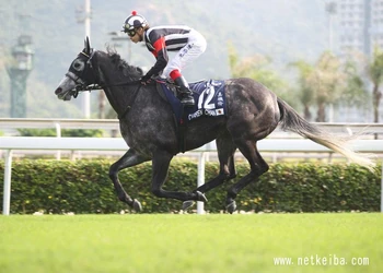 Curren Chan | Uma Musume Wiki | Fandom