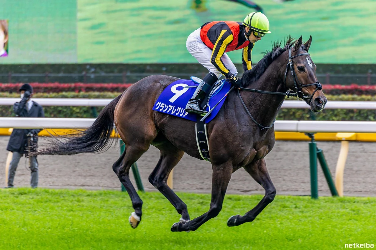 Gran Alegria/Real Life | Umamusume Wiki | Fandom