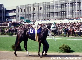 Mejiro Ramonu/Real Life | Umamusume Wiki | Fandom