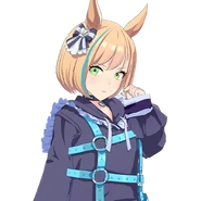 Little Cocon/Image Gallery | Umamusume Wiki | Fandom