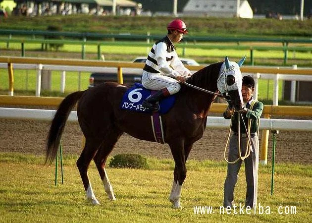 Bamboo Memory/Real Life | Umamusume Wiki | Fandom